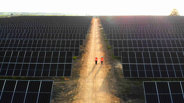 ENGIE inaugura il più grande parco agrivoltaico in Italia | ENGIE