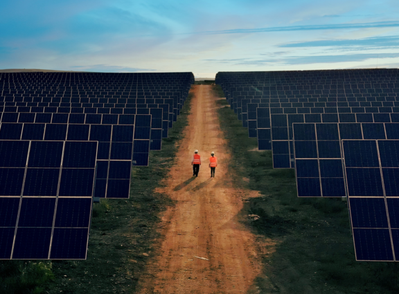 Amazon: energia da agrivoltaico con un corporate PPA | ENGIE